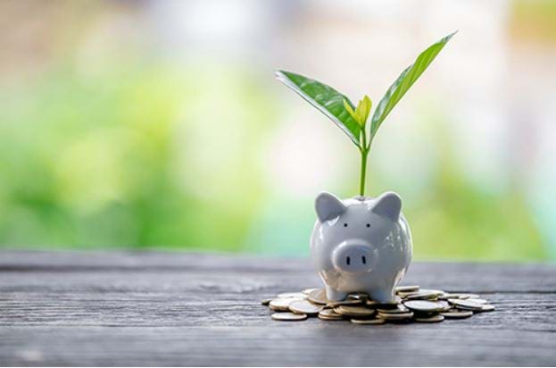 R & D Accounting | Accountants Toowoomba